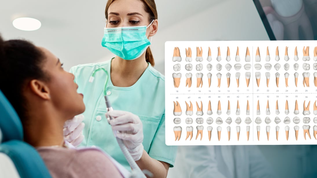 Odontograma: o que é e qual a importância?