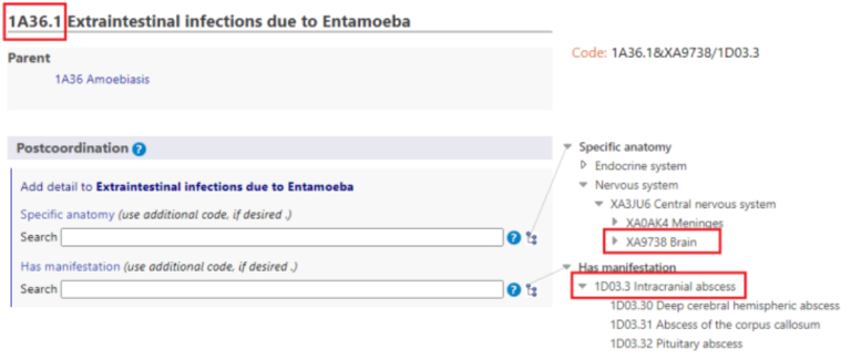 Busque de forma correta os códigos da CID-11!