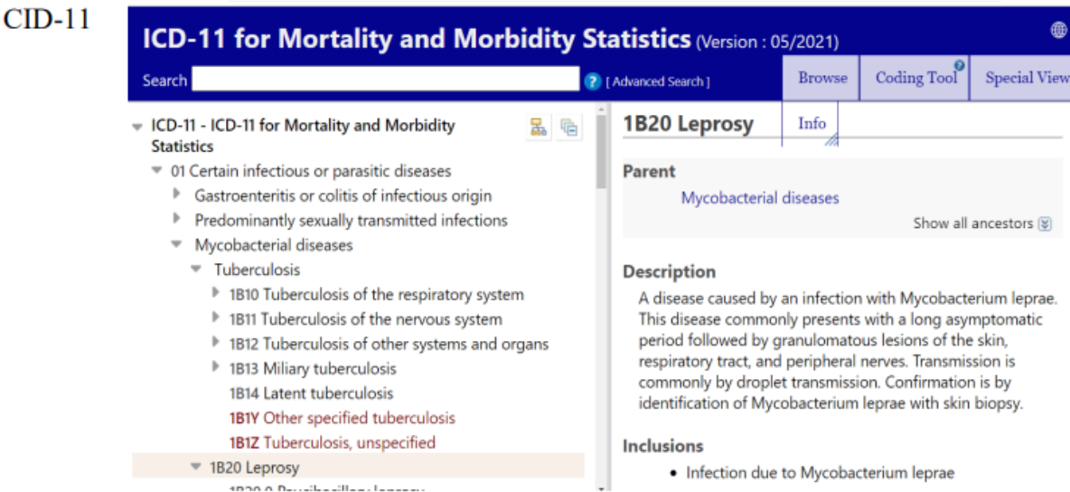 Busque de forma correta os códigos da CID-11!