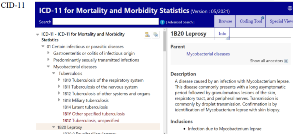 Busque de forma correta os códigos da CID-11!